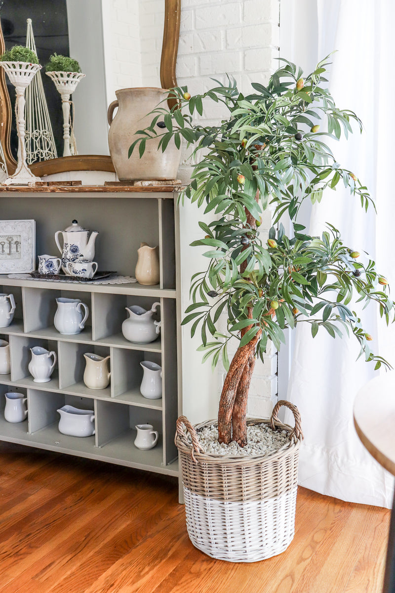Olive Trees: Modern Design Accents – VerDécor & Co.