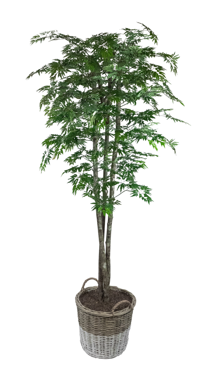 Smilax Trees – VerDécor & Co.